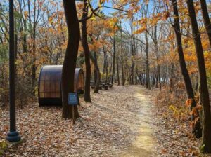 Seoul Trail Course 8 Jangji-Tancheon Complete Guide — Route, Views ...