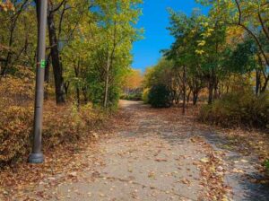 Seoul Trail Course 8 Jangji-Tancheon Complete Guide — Route, Views ...